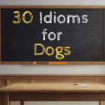 30 Idioms for Dogs
