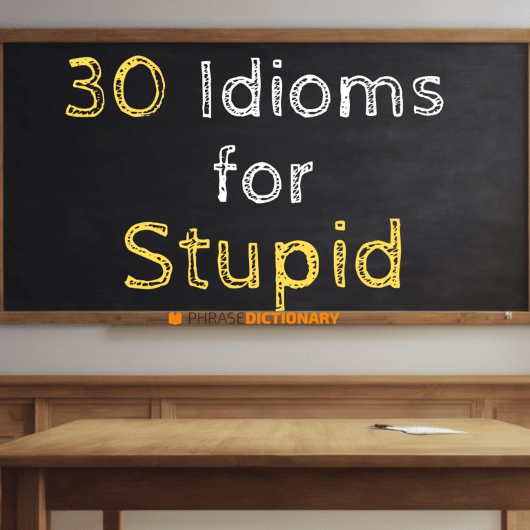 30 Idioms for Stupid